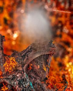 CB Editing Background HD Picsart Download - PABITRA EDITOGRAOHY ...