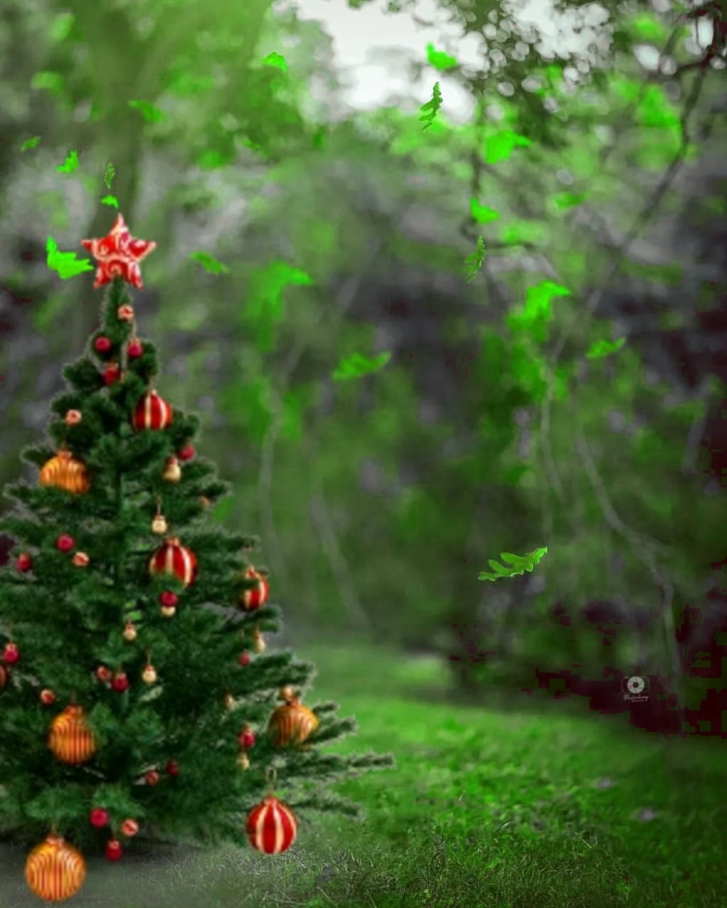 200+ Merry Christmas Background HD Download - PABITRA EDITOGRAPHY ...