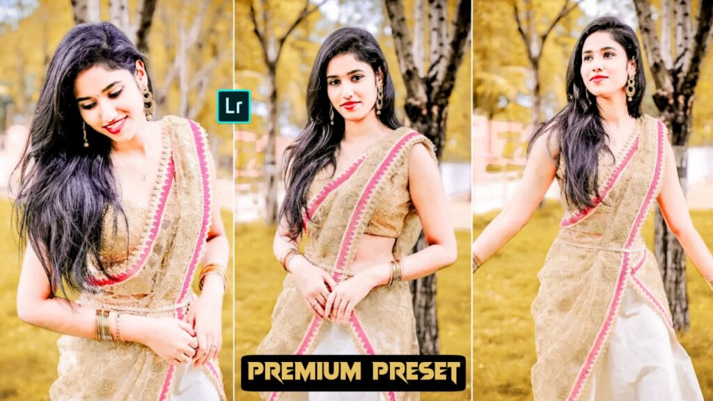 Premium Presets Lightroom Mobile | Lightroom New Preset - PABITRA ...