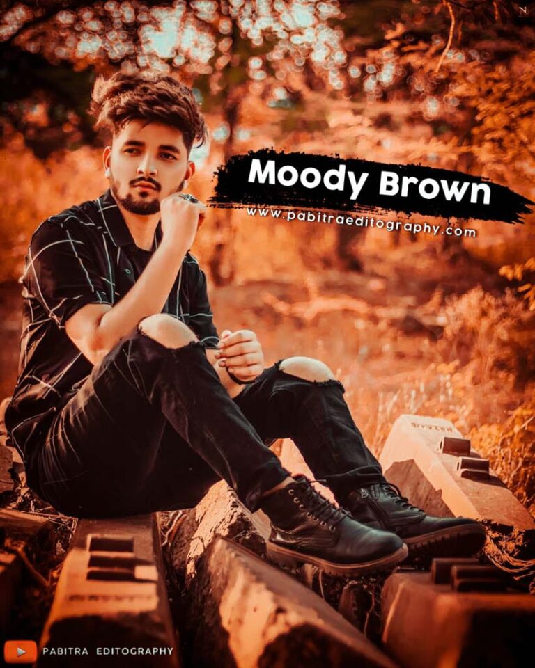 Moody Brown Preset | Free Lightroom Preset Download - PABITRA ...