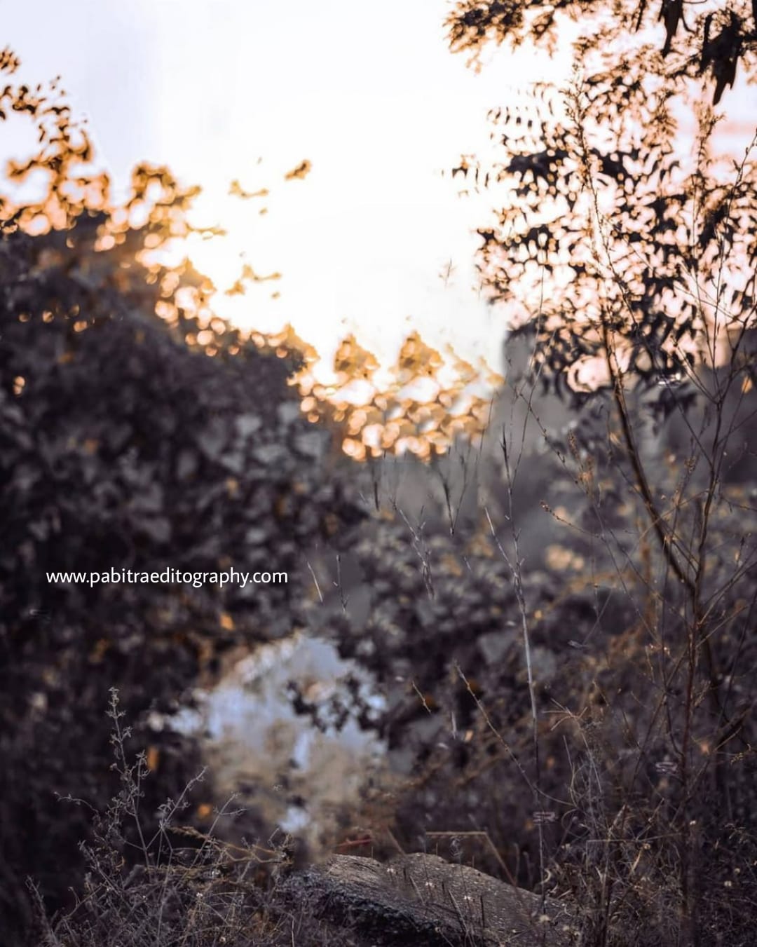 200+ Taukeer Editz Instagram Viral Photo Editing Background HD ...