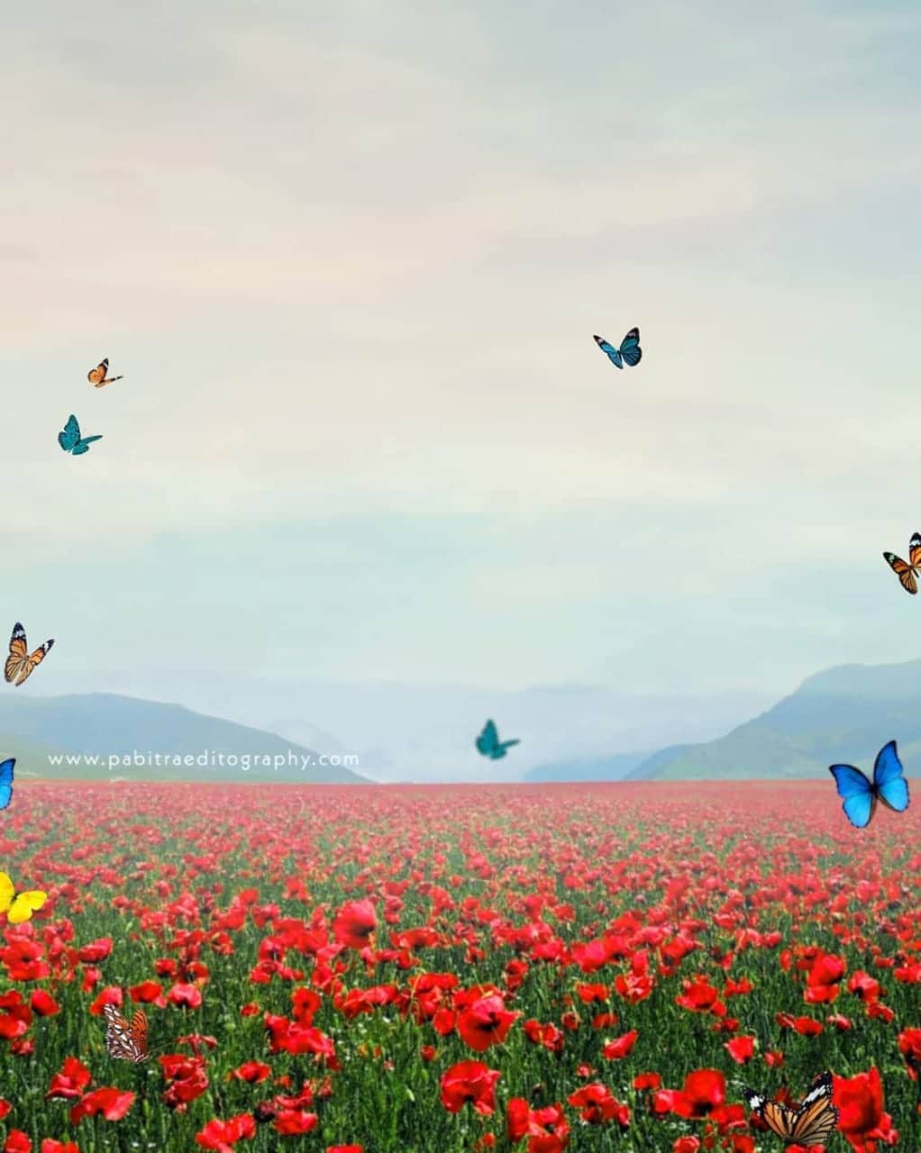High Quality Background Instagram Viral Photo Editing Background HD ...