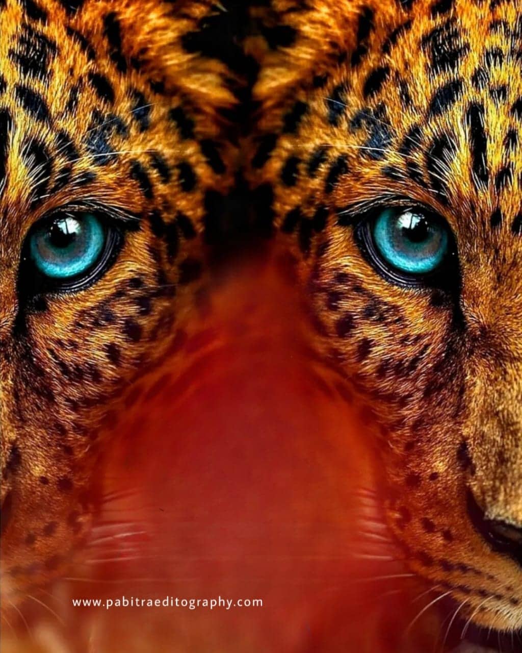 2000+ Instagram Viral Photo Editing Background HD - PABITRA EDITOGRAPHY ...