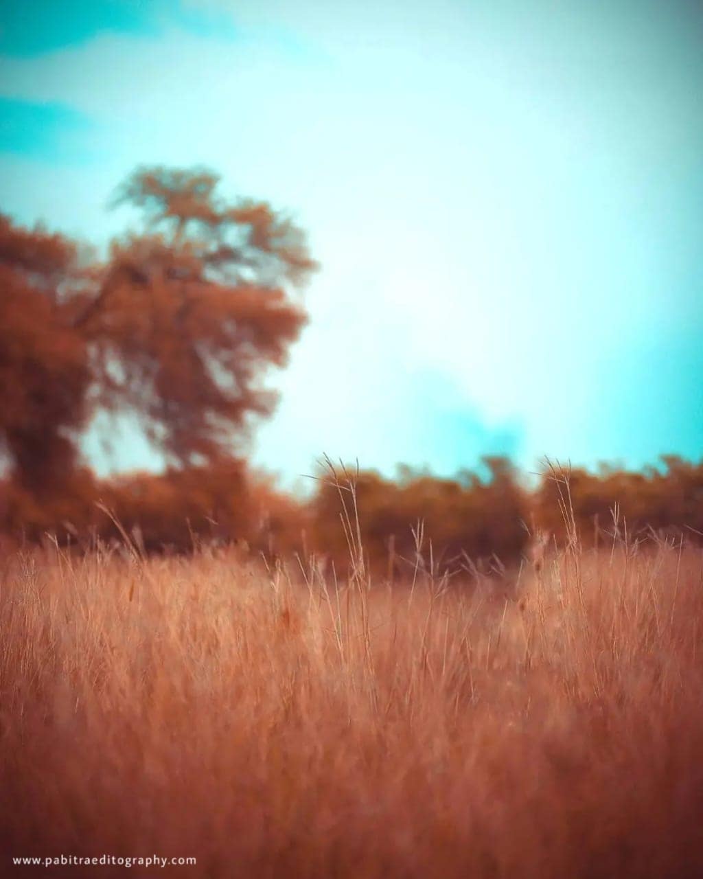 Picsart Editing Background HD 1080p (FREE DOWNLOAD) - PABITRA EDITOGRAPHY